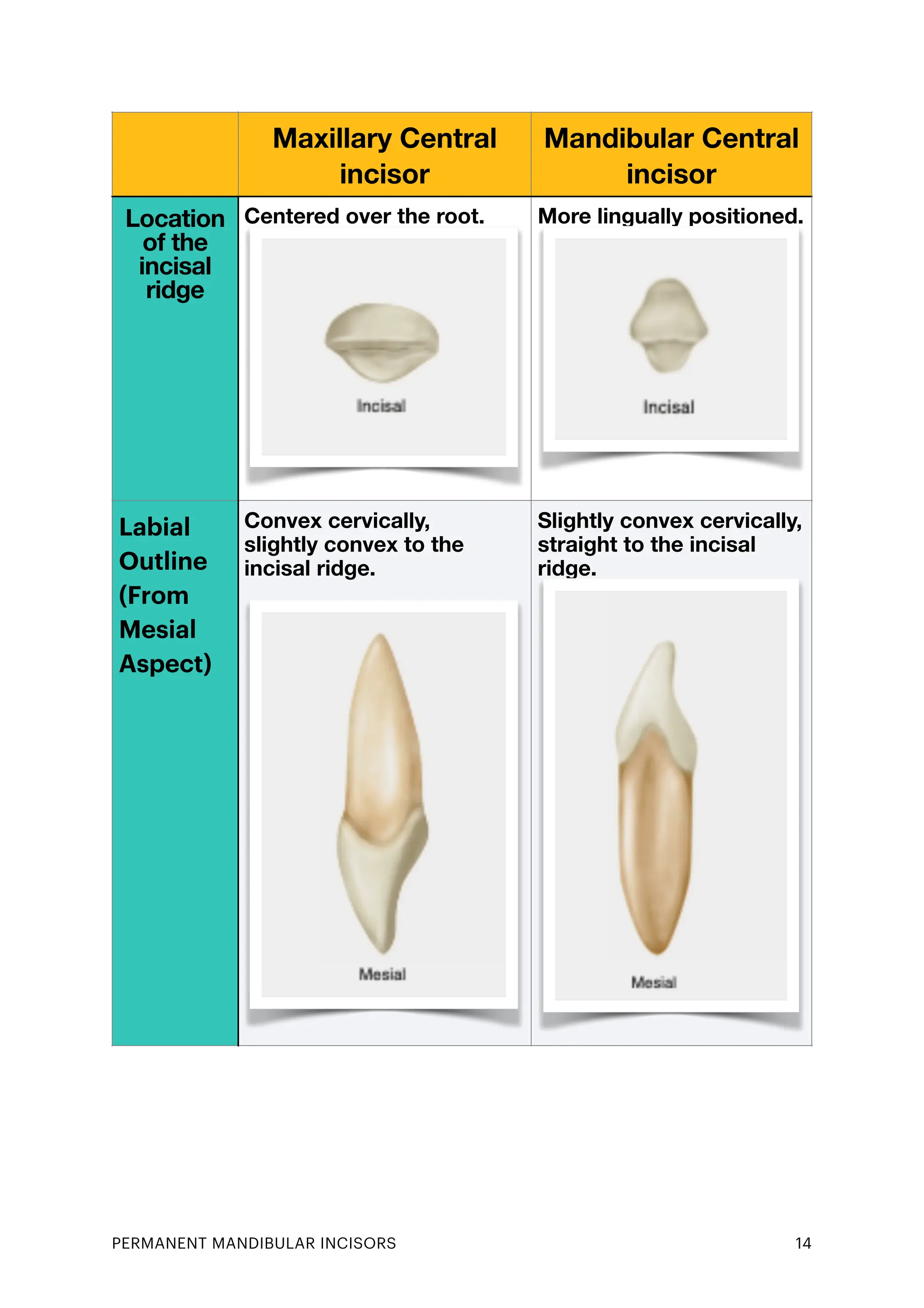 Handout, Lecture 6.pdf