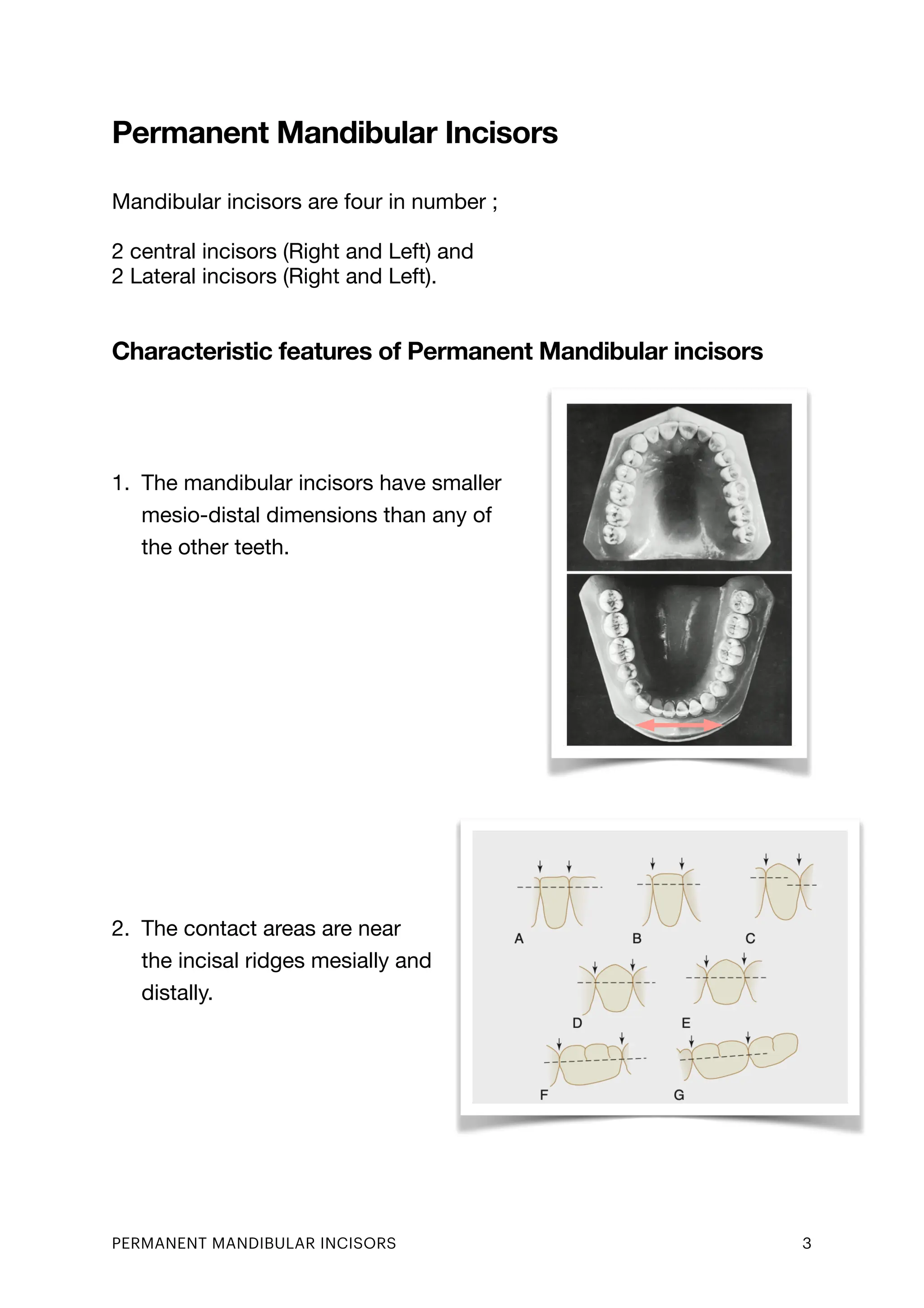 Handout, Lecture 6.pdf | Dental Health | Diseases and Conditions