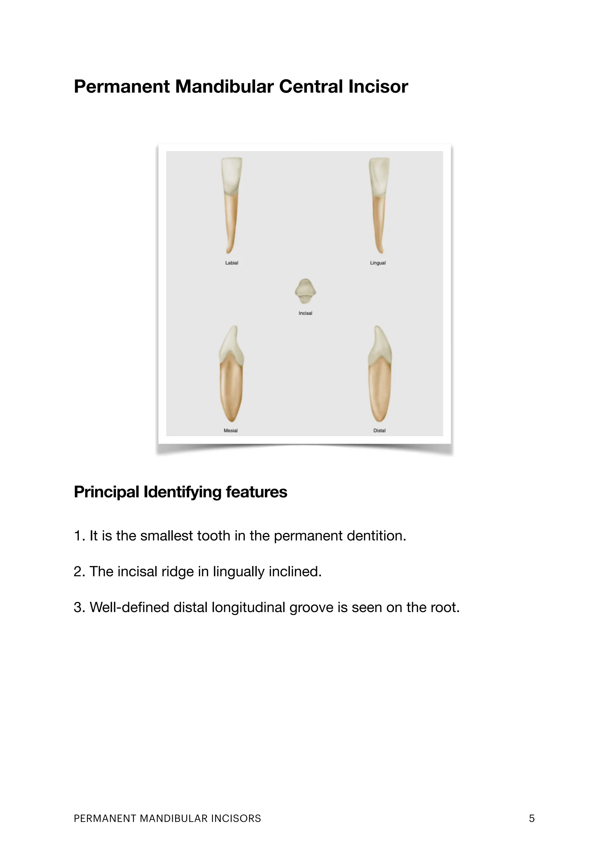 Handout, Lecture 6.pdf | Dental Health | Diseases and Conditions