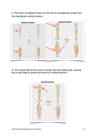 Handout, Lecture 6.pdf