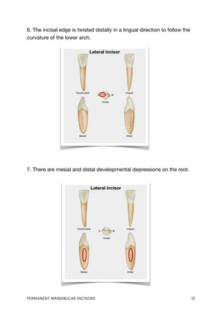 Handout, Lecture 6.pdf