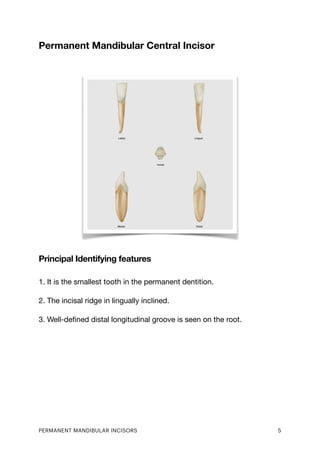 Handout, Lecture 6.pdf
