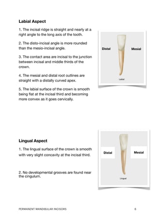 Handout, Lecture 6.pdf | Dental Health | Diseases and Conditions