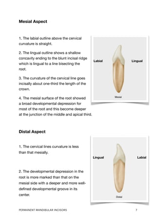 Handout, Lecture 6.pdf | Dental Health | Diseases and Conditions