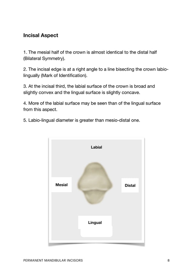 Handout, Lecture 6.pdf | Dental Health | Diseases and Conditions