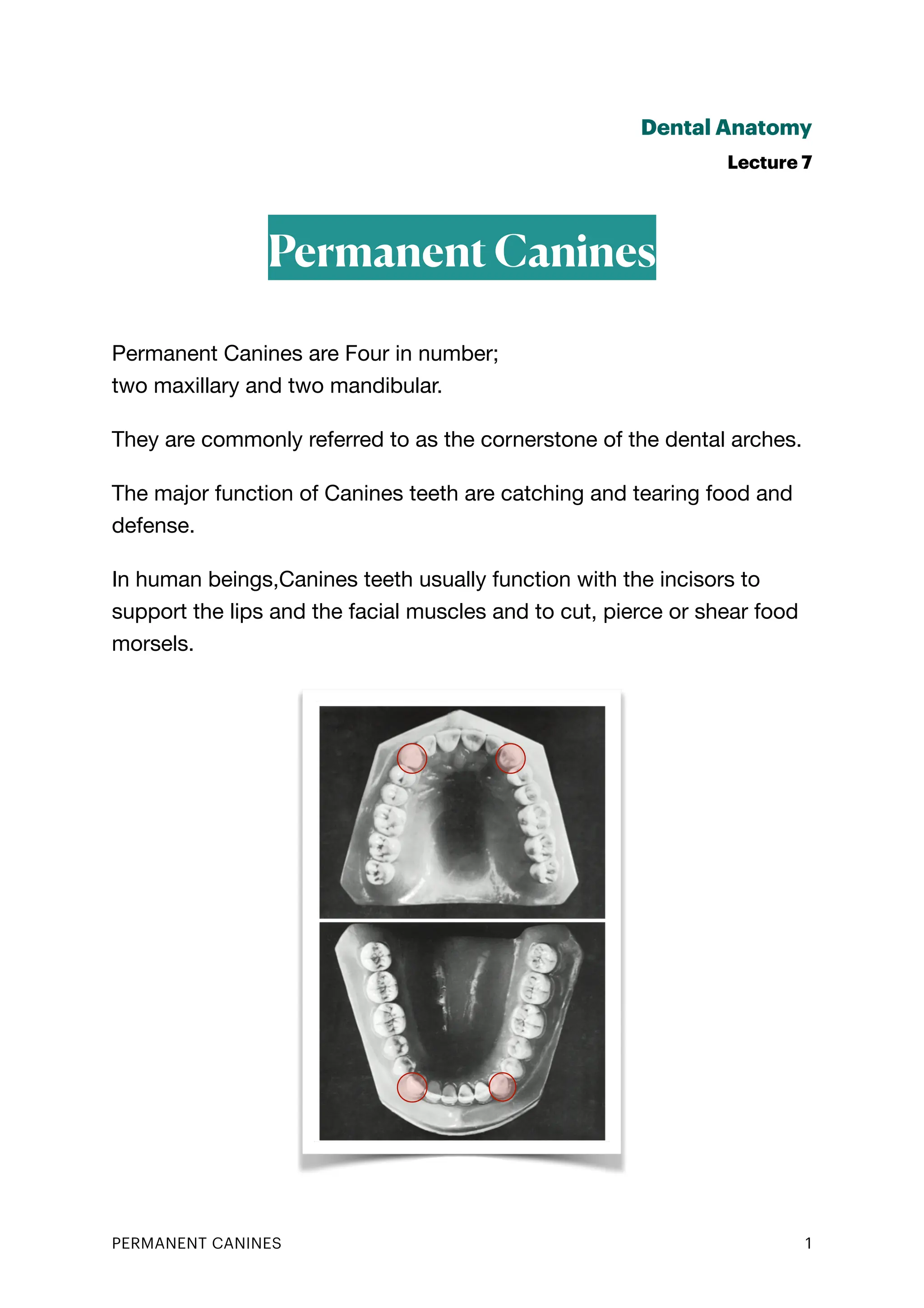 Handout, Lecture 7.pdf