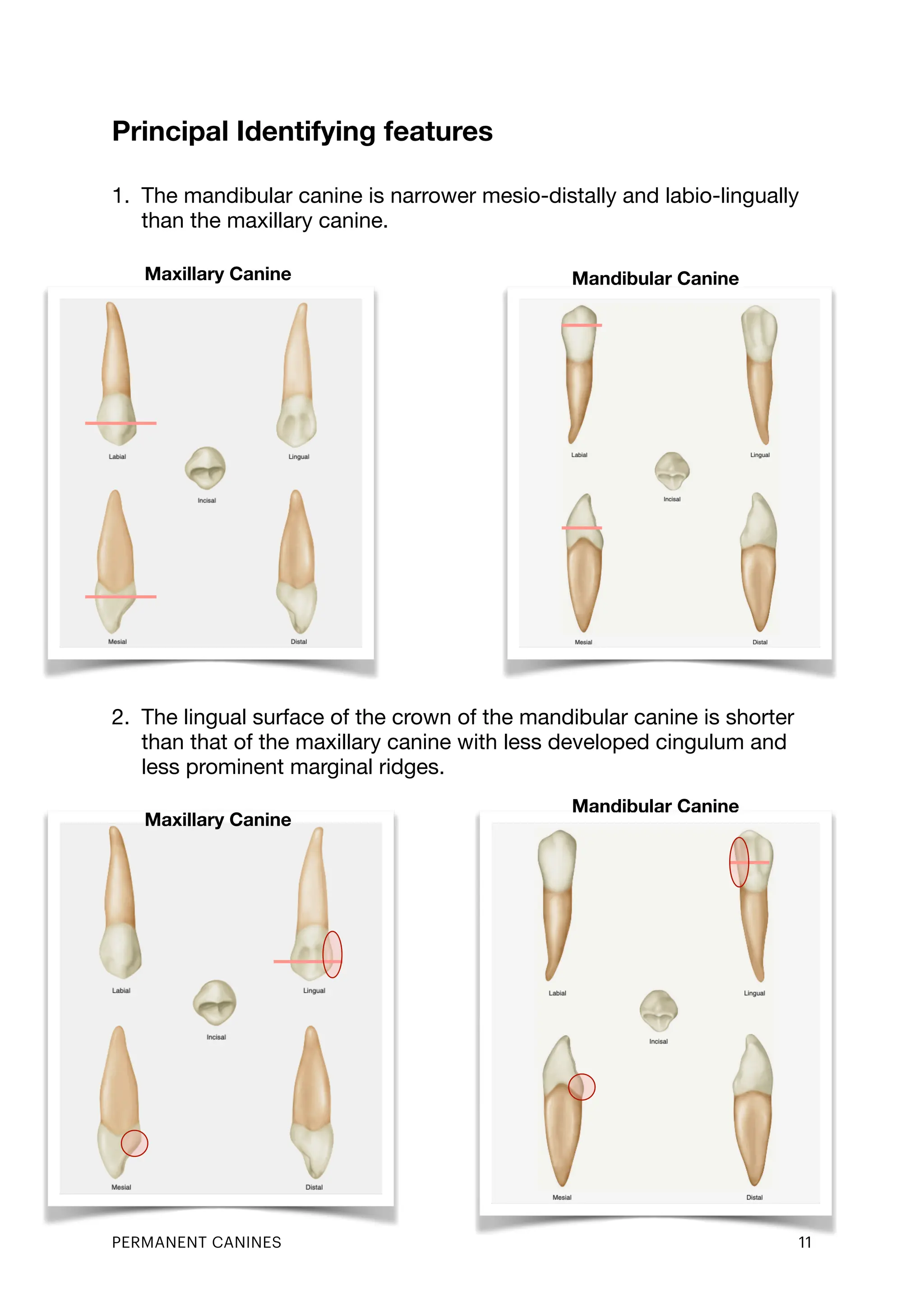 Handout, Lecture 7.pdf