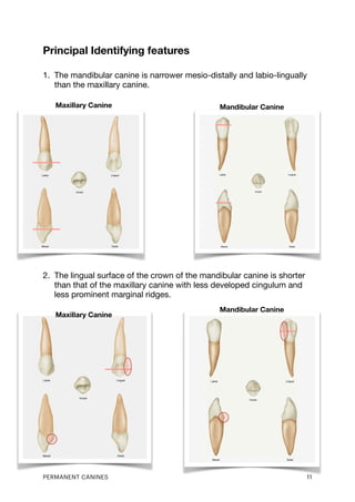 Handout, Lecture 7.pdf