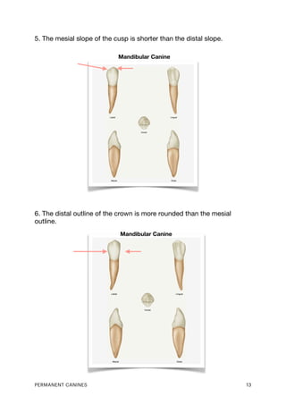 Handout, Lecture 7.pdf