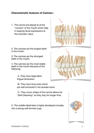 Handout, Lecture 7.pdf