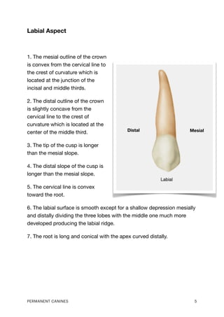 Handout, Lecture 7.pdf