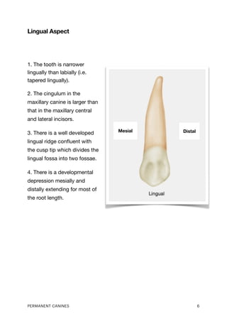 Handout, Lecture 7.pdf