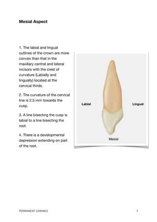 Handout, Lecture 7.pdf