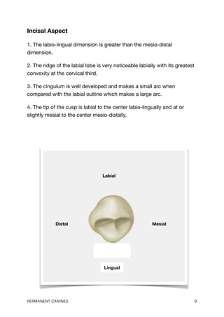 Handout, Lecture 7.pdf