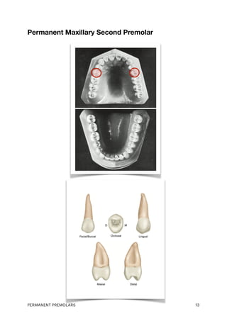 Handout, Lecture 8.pdf