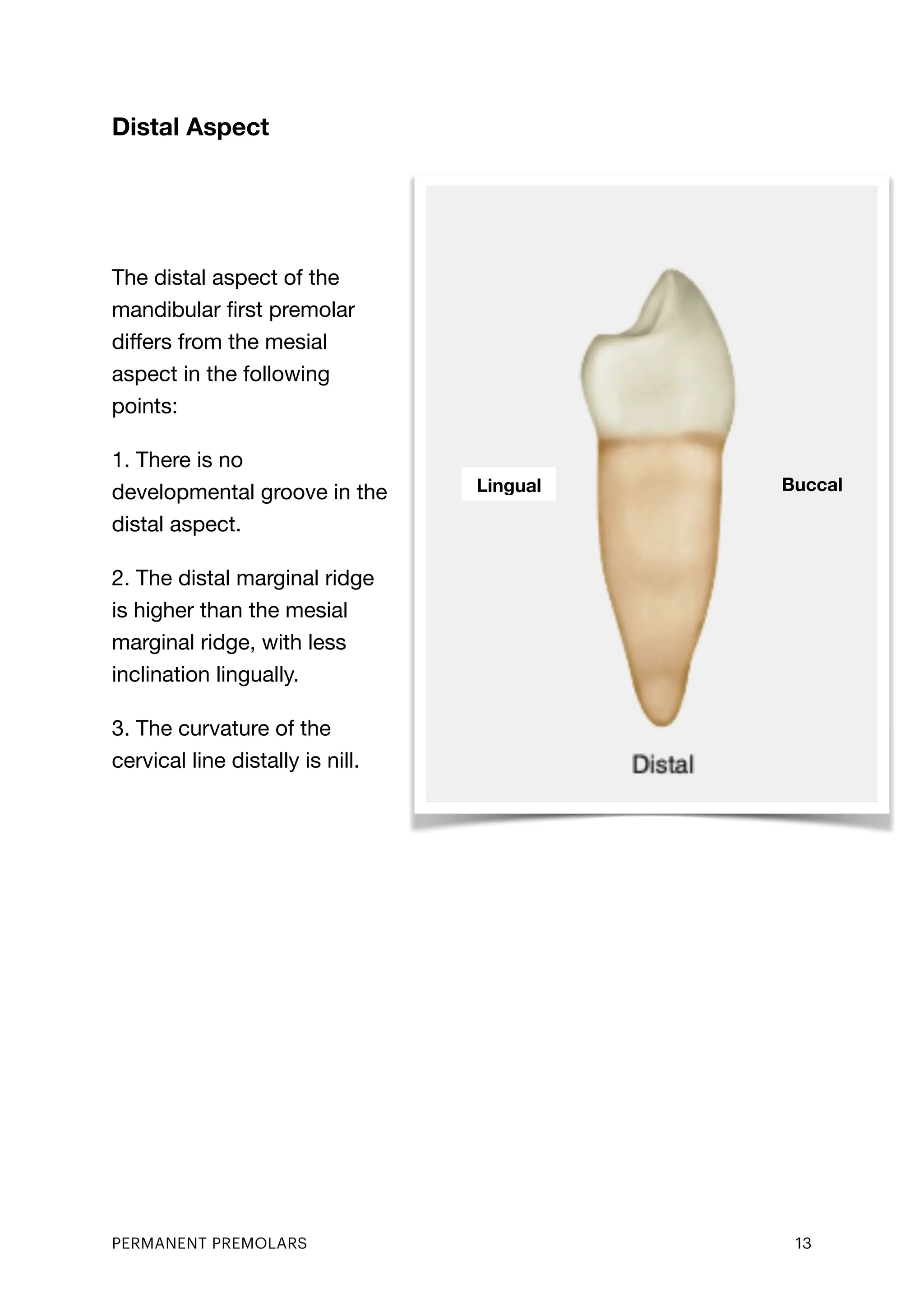 Handout, Lecture 9.pdf | Dental Health | Diseases and Conditions