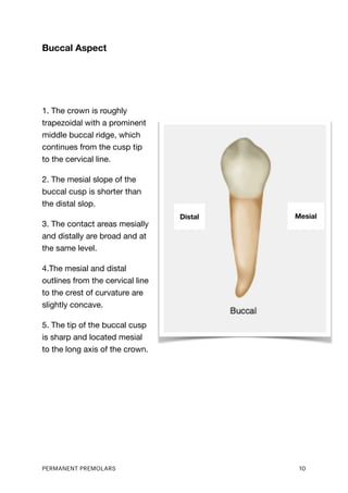 Handout, Lecture 9.pdf | Dental Health | Diseases and Conditions