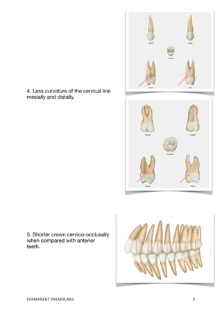 Handout, Lecture 9.pdf | Dental Health | Diseases and Conditions
