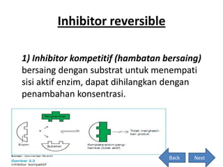 materi metabolisme | PPTX