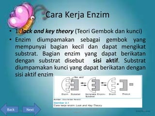 materi metabolisme | PPTX