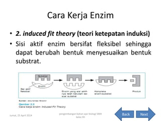 materi metabolisme | PPTX