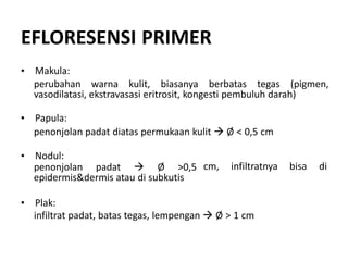 Handout morfologi dan terminologi penyakit kulit(1) | PPTX