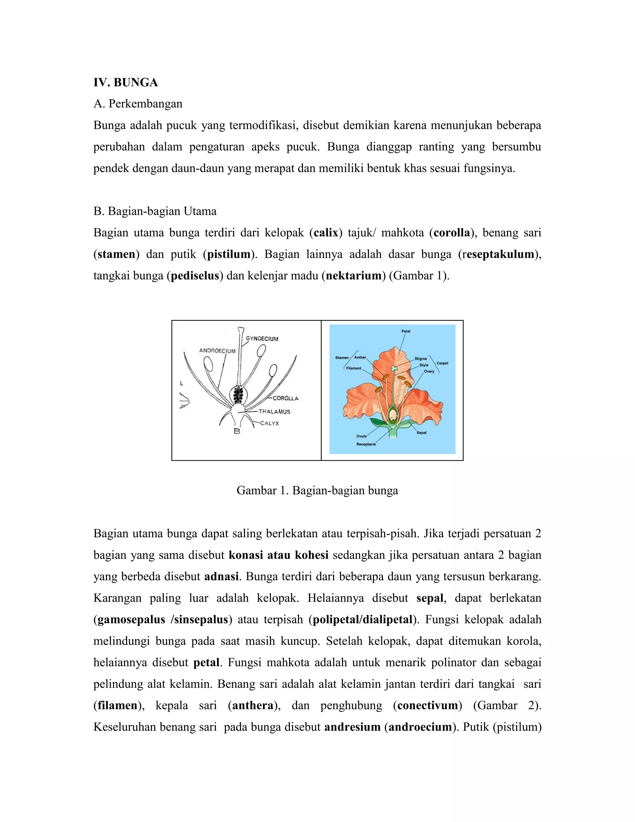 Handout mortum 3 | PDF