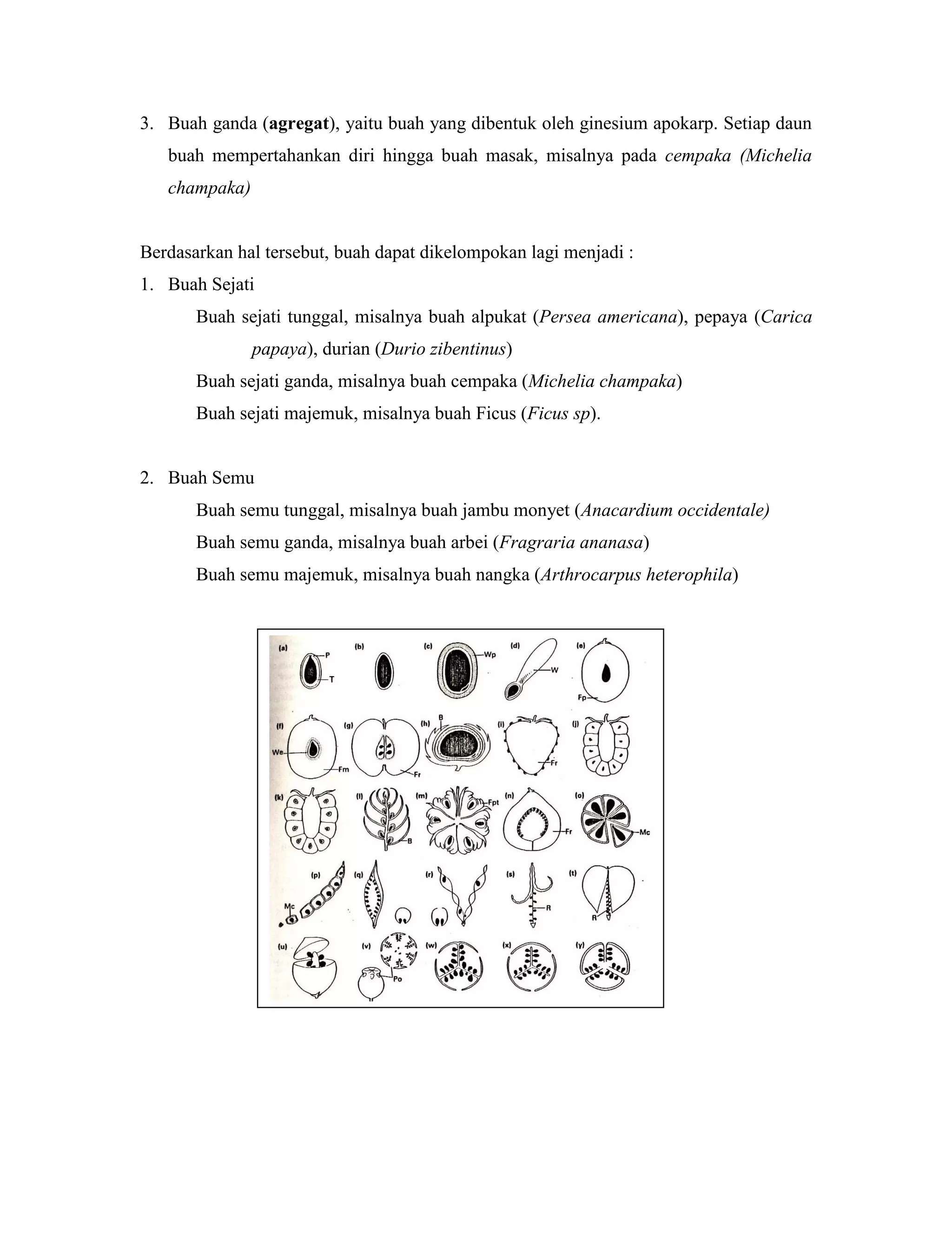 Handout mortum 3 | PDF