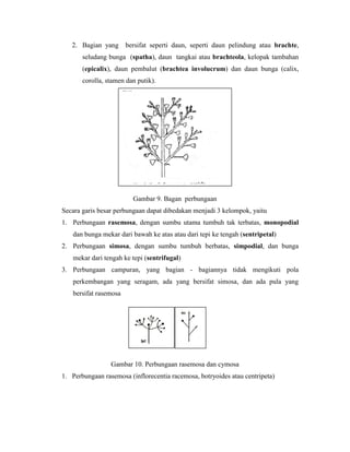 Handout mortum 3 | PDF