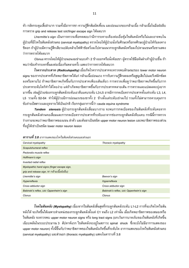 Hand out of_pe_spine_edit2012 ระบบประสาท | PDF