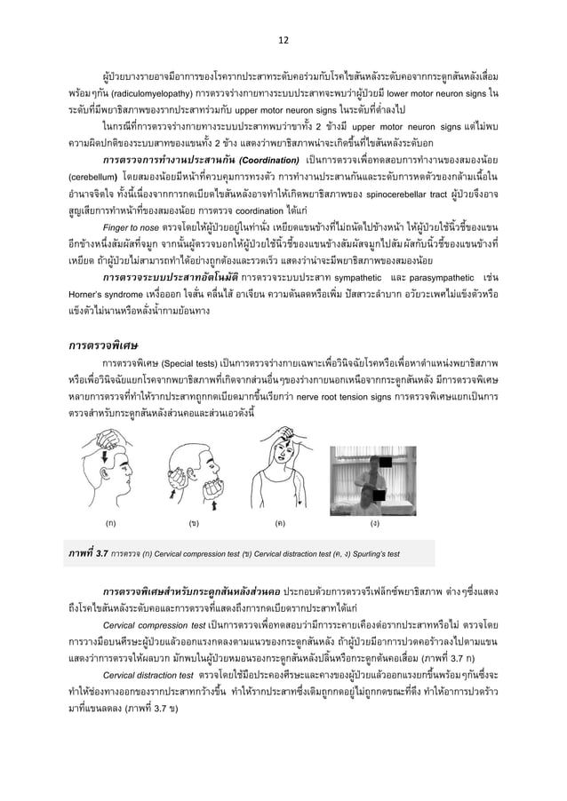 Hand out of_pe_spine_edit2012 ระบบประสาท | PDF