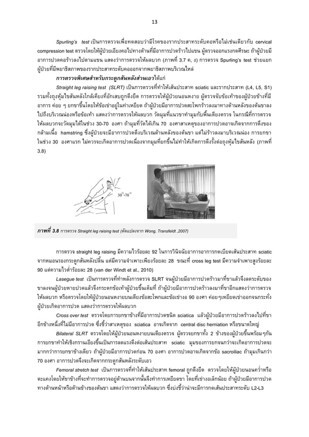 Hand out of_pe_spine_edit2012 ระบบประสาท | PDF