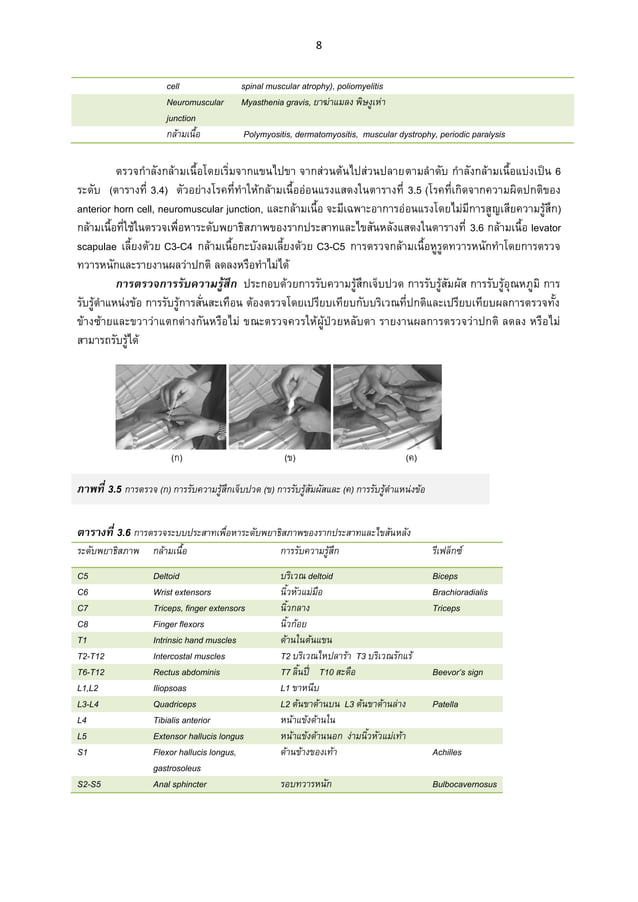 Hand out of_pe_spine_edit2012 ระบบประสาท | PDF