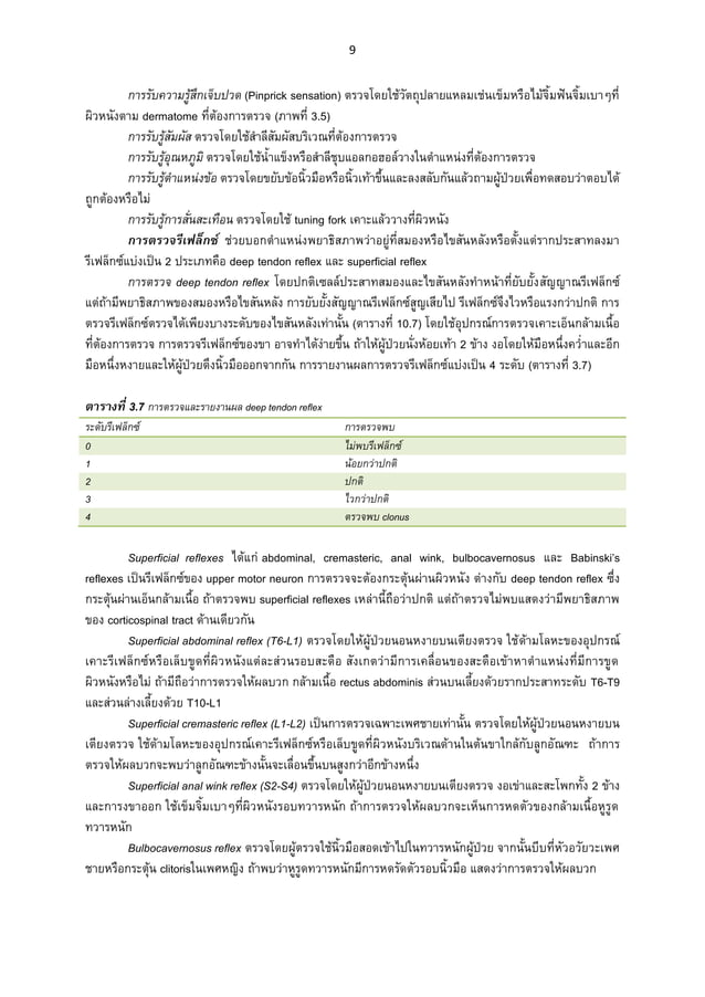 Hand out of_pe_spine_edit2012 ระบบประสาท | PDF