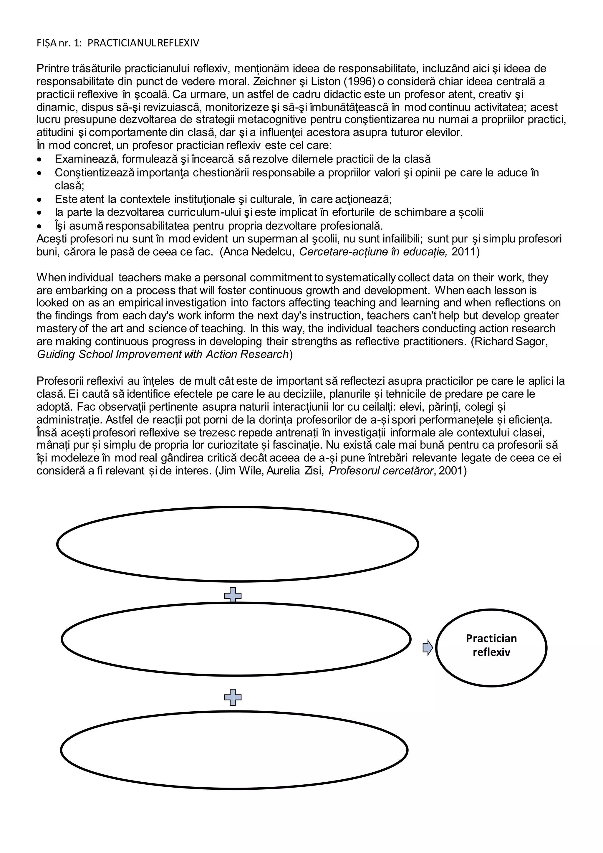 practician reflexiv | DOCX