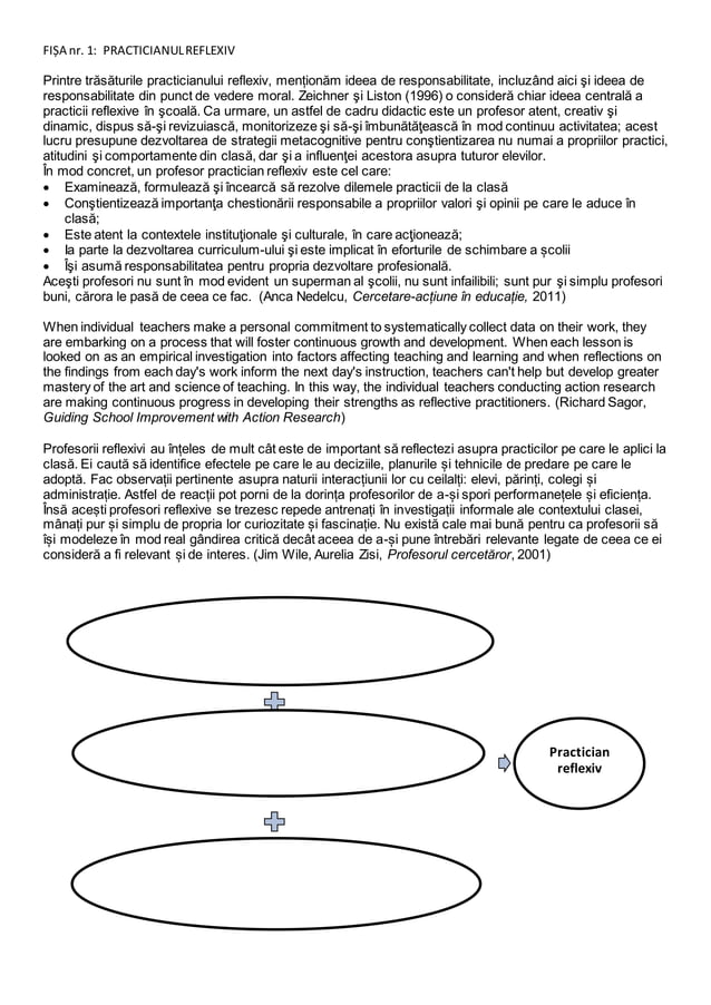 practician reflexiv | DOCX