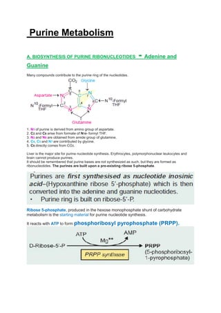 Handouts molecular biology-1 | PDF
