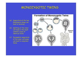 handouts1. embryology implantation, hormones | PDF