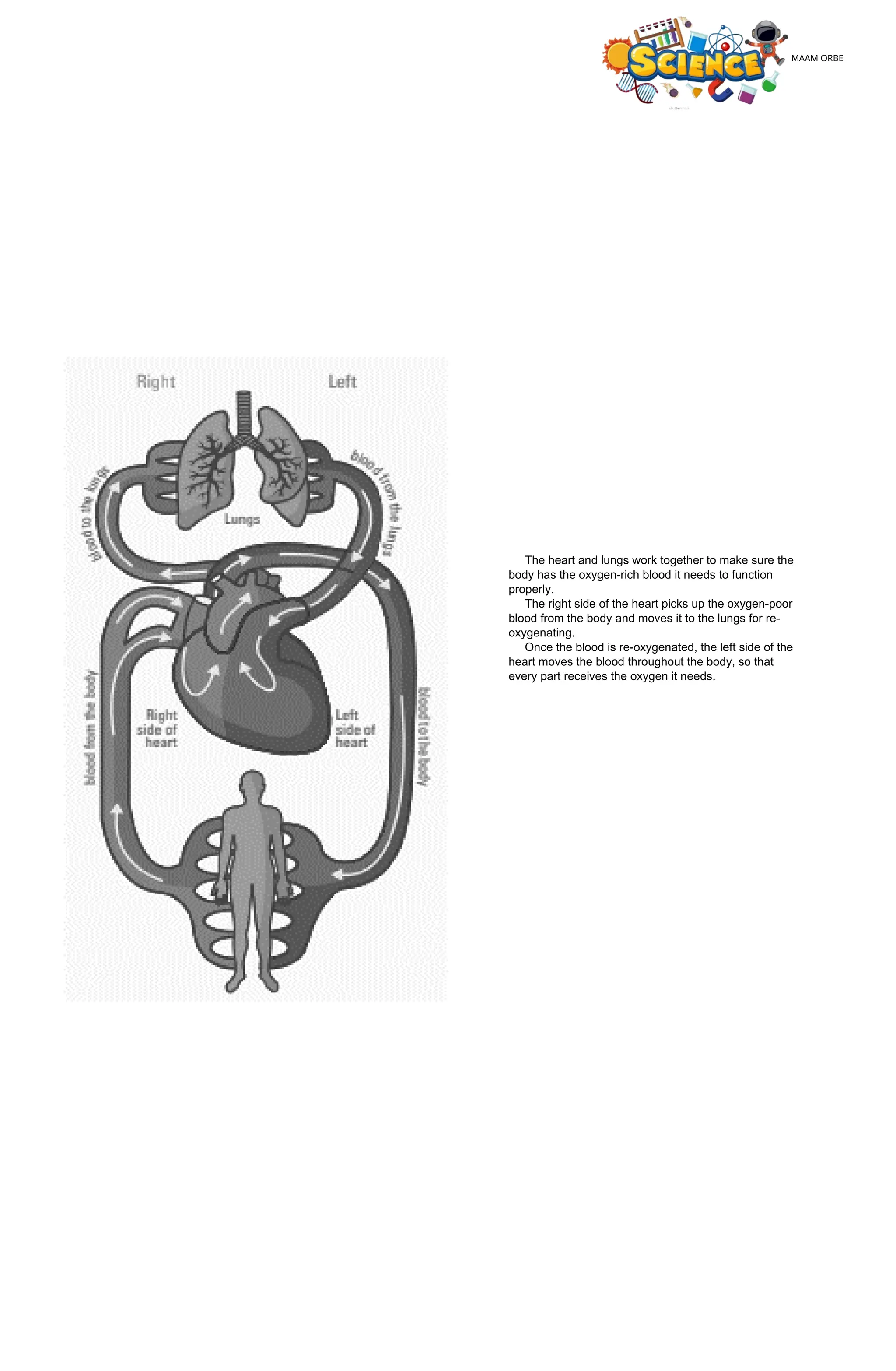 GRADE 9 SCIENCE HANDOUTS FOR WEEK 1 AND 2.docx