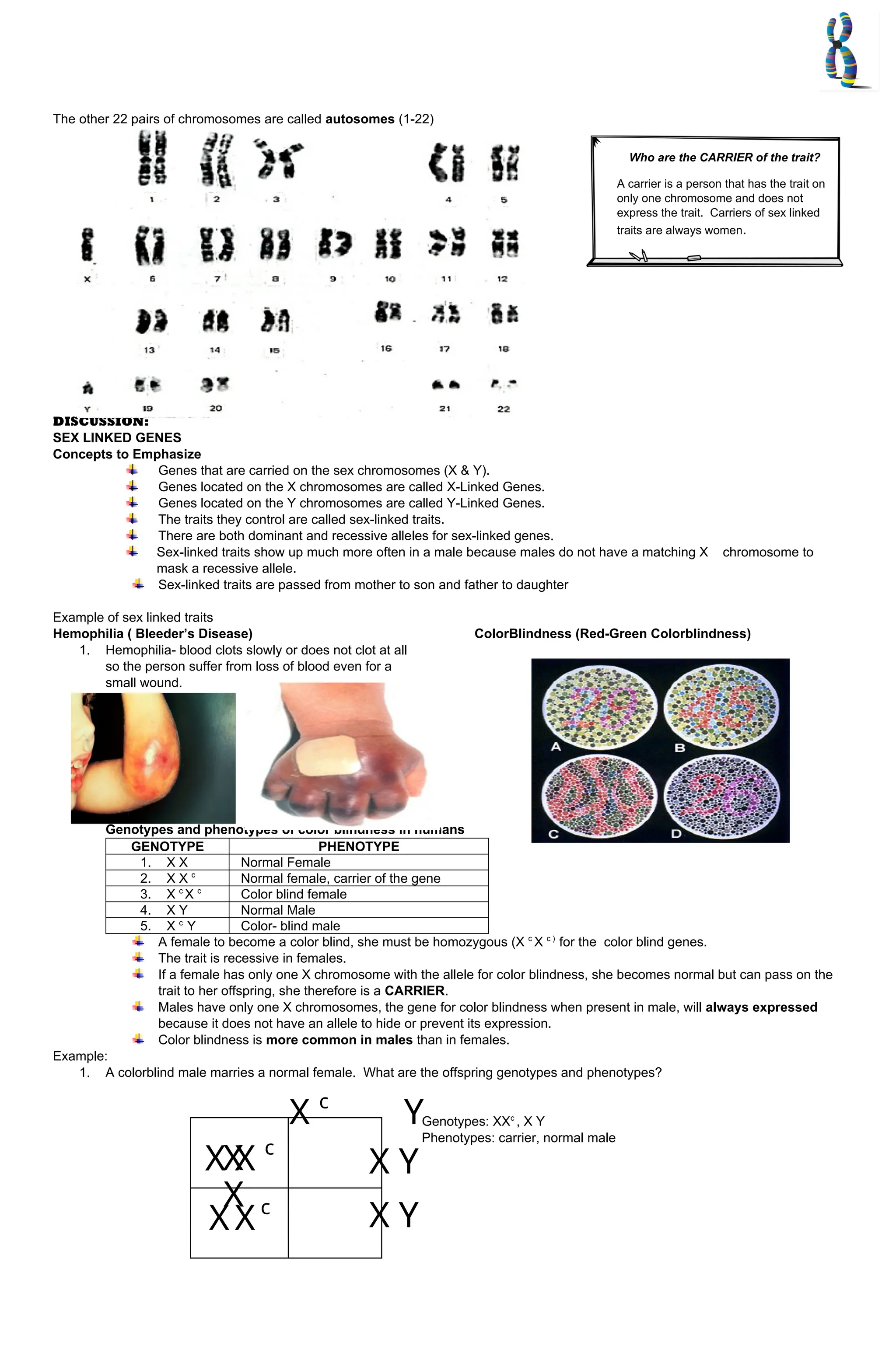 GRADE 9 SCIENCE handouts for week 3 final.docx