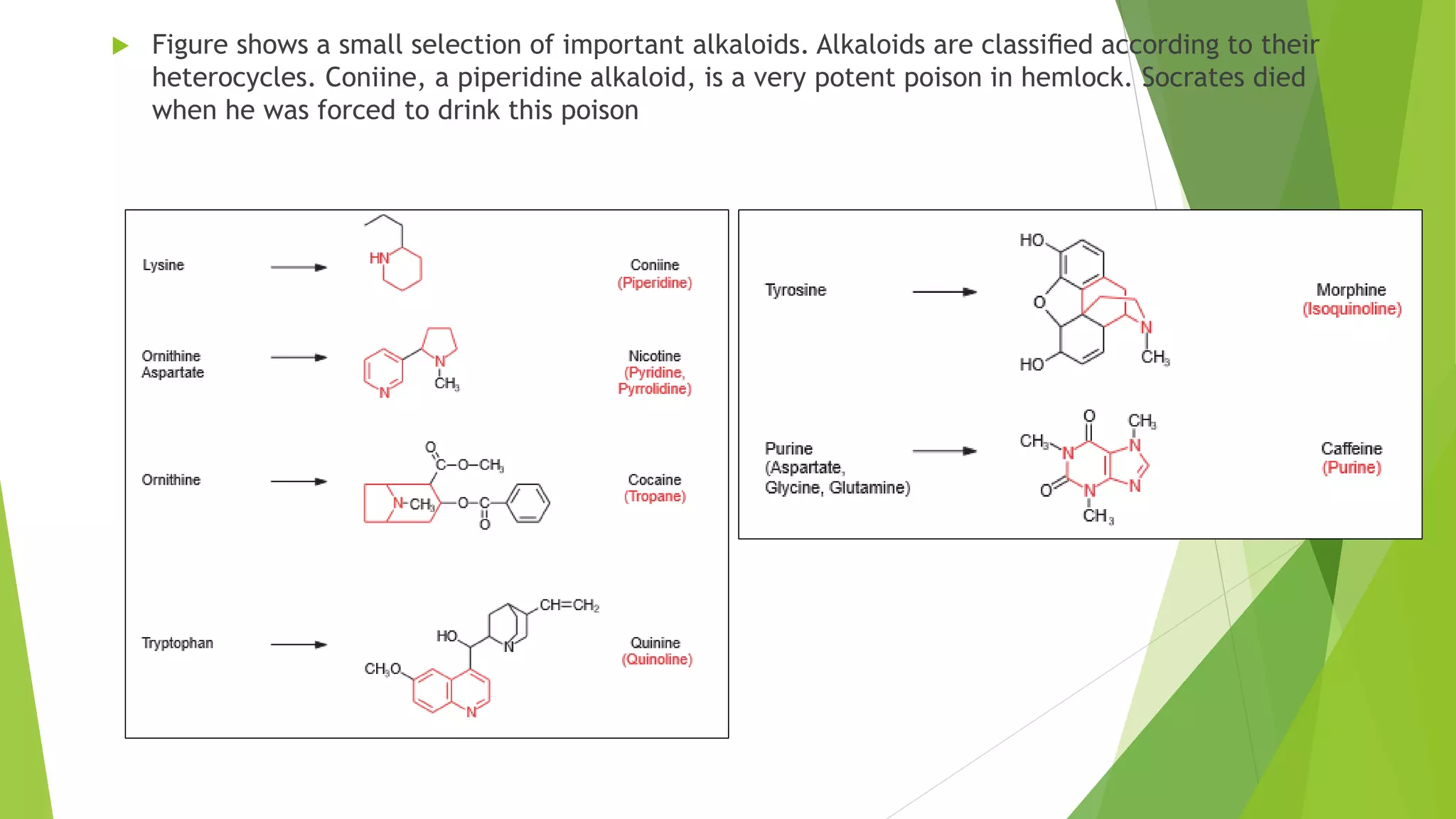 plant alkaloids their functions and biosynthesis | PPTX