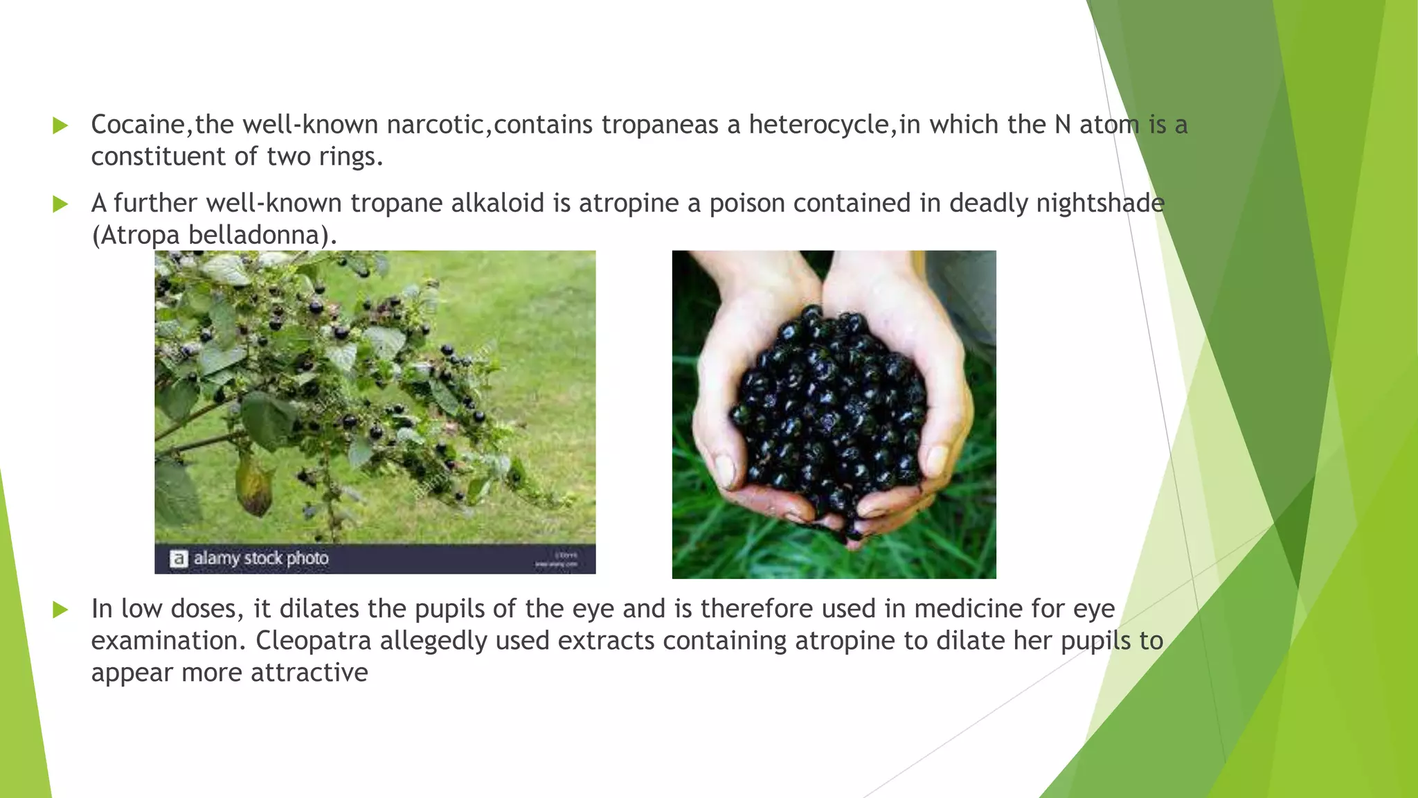 plant alkaloids their functions and biosynthesis | PPTX