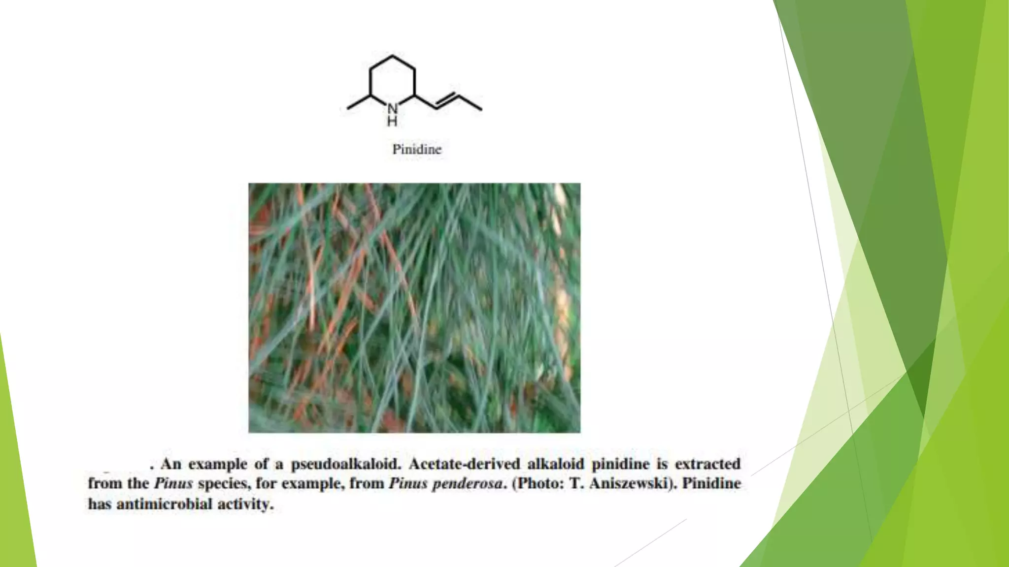plant alkaloids their functions and biosynthesis | PPTX