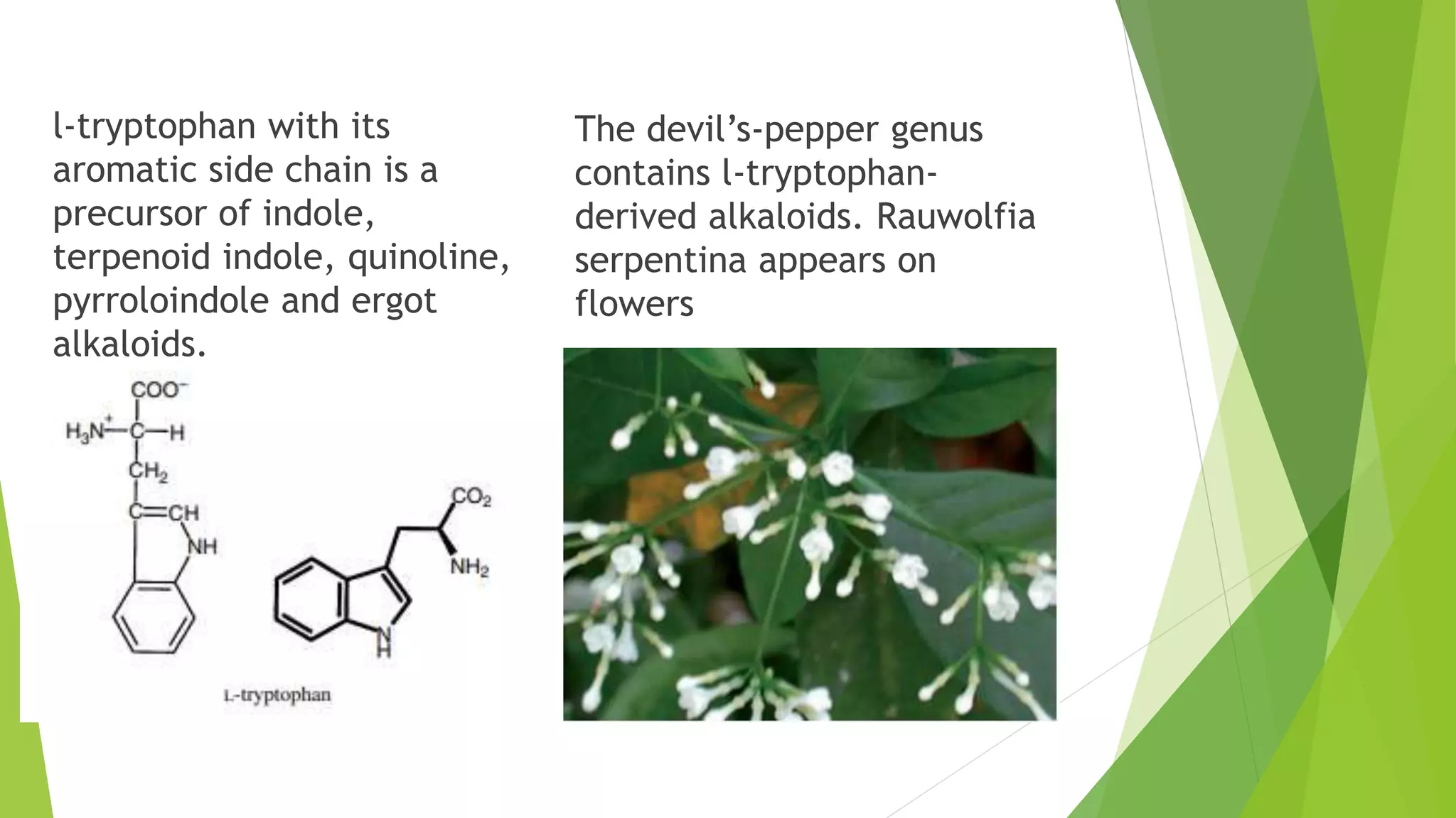 plant alkaloids their functions and biosynthesis | PPTX