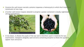 plant alkaloids their functions and biosynthesis | PPTX