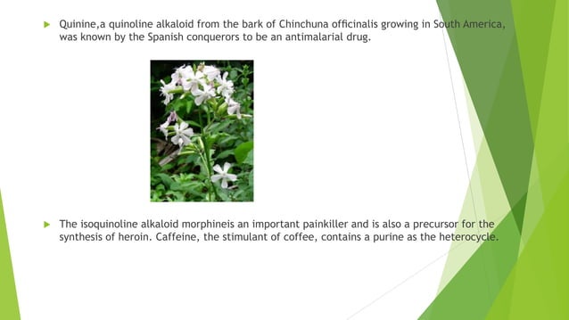 plant alkaloids their functions and biosynthesis | PPTX ...