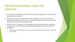 plant alkaloids their functions and biosynthesis | PPTX