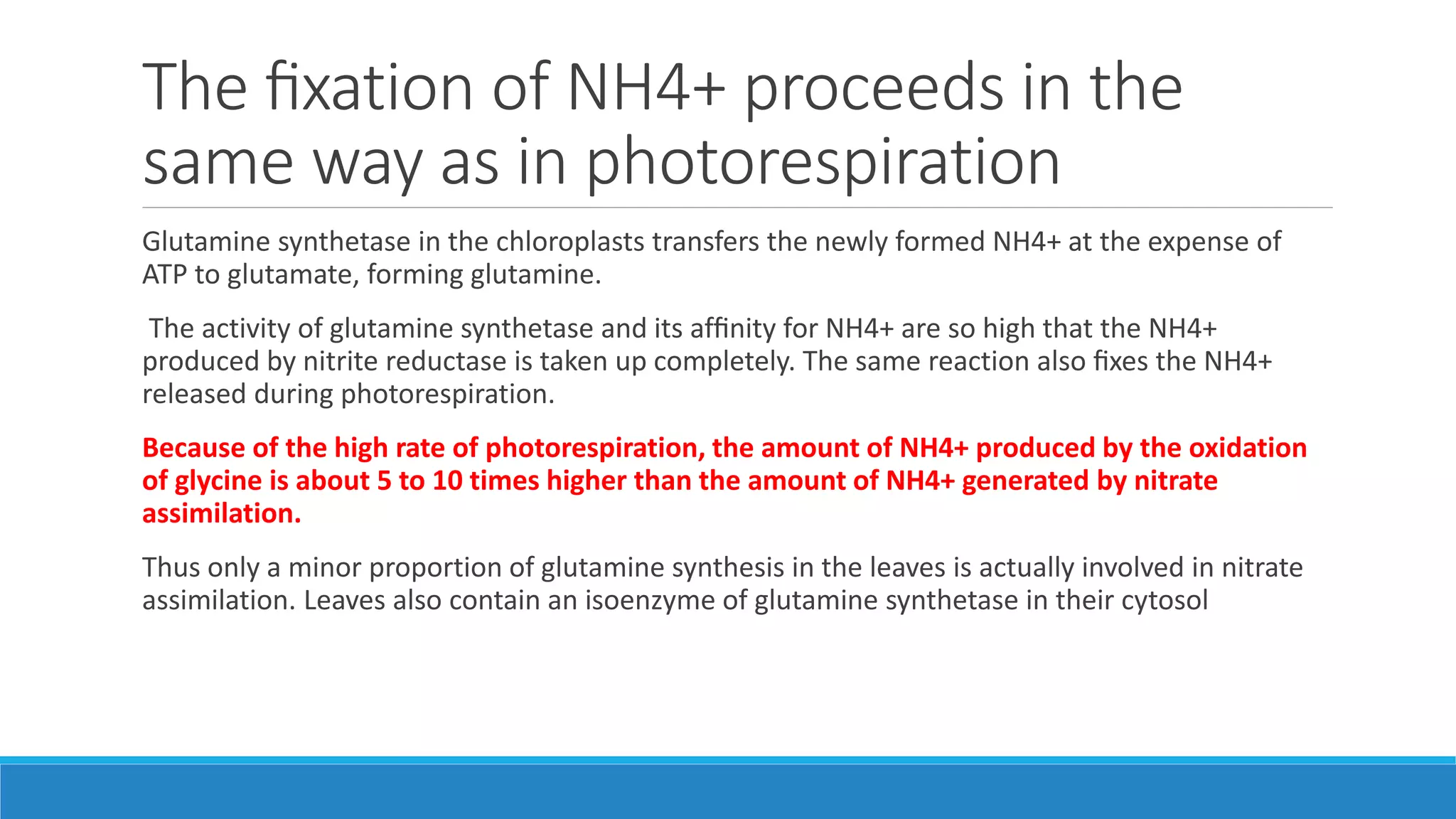 nitrogen assimilation | PPTX