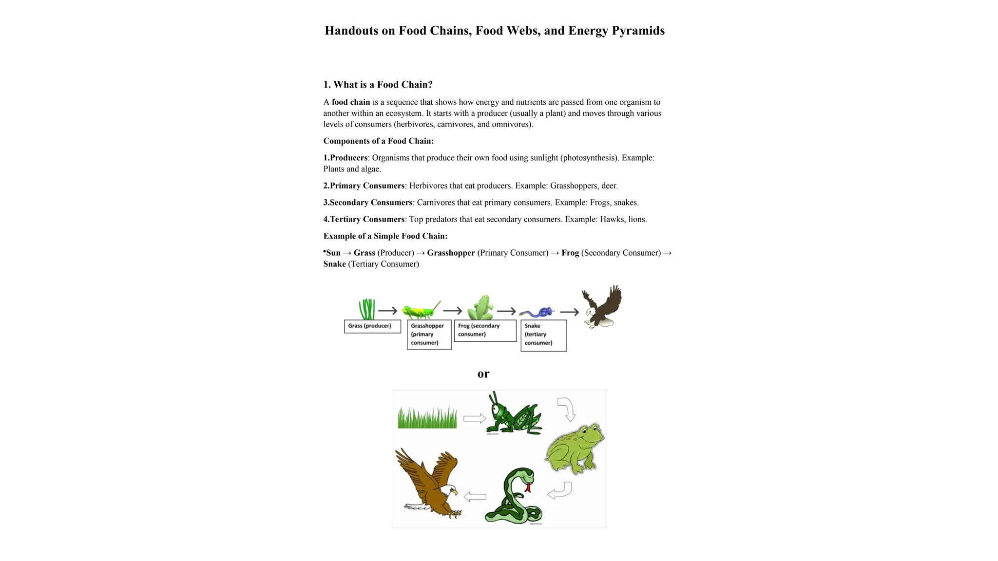 Handouts on Food Chain, Food Web and Energy Pyramid.ppt