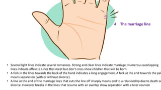 Palm Reading Marriage Line Guide